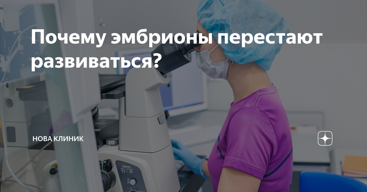 Почему эмбрионы перестают развиваться Нова Клиник Дзен