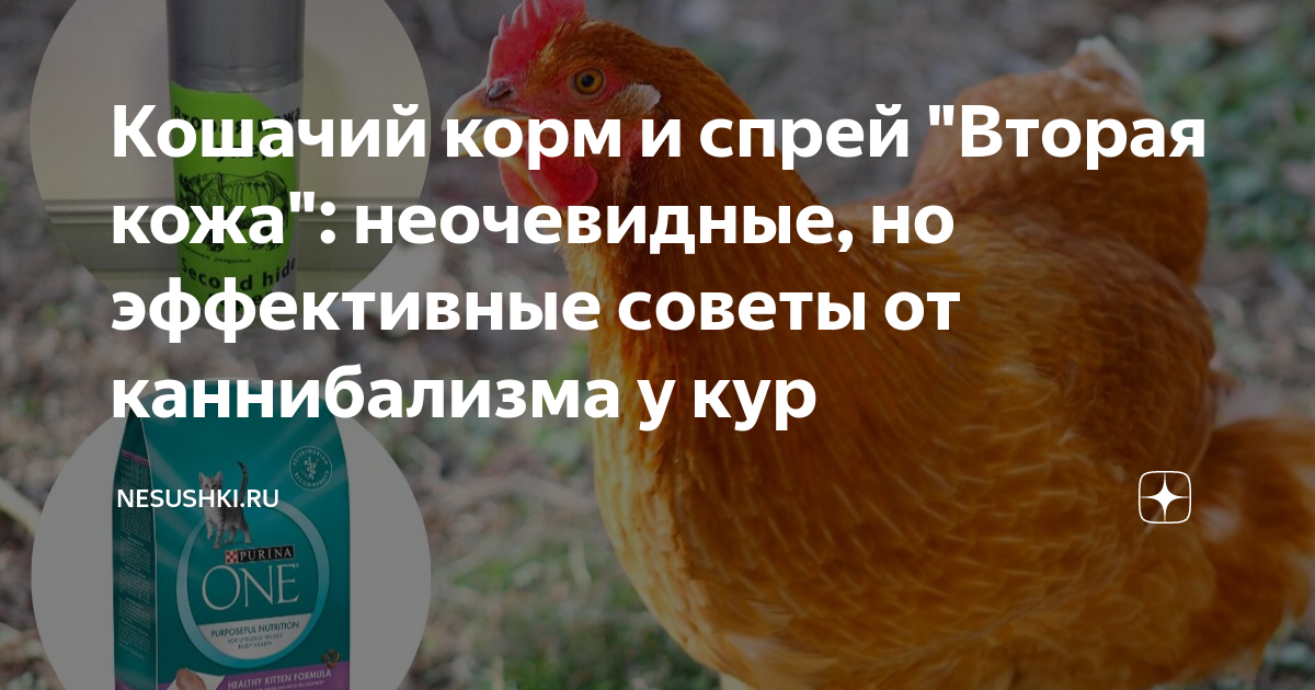 Кошачий корм и спрей "Вторая кожа": неочевидные, но эффективные советы ...