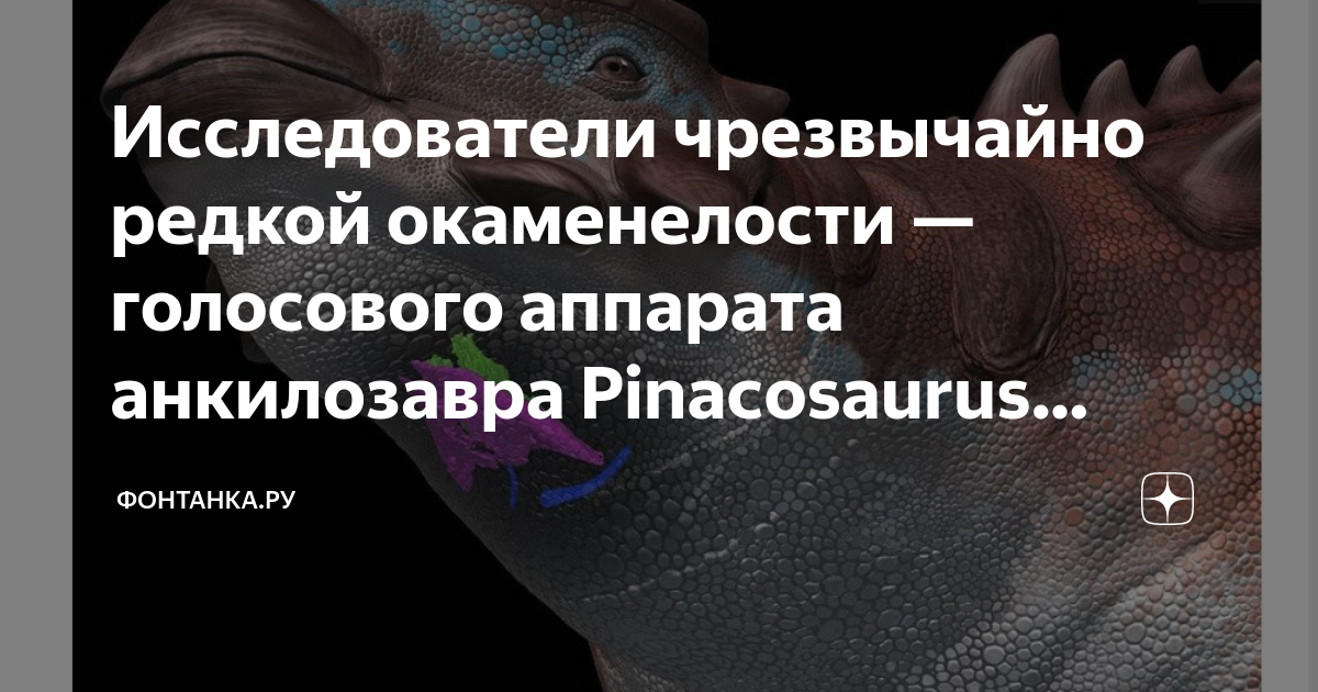 Исследователи чрезвычайно редкой окаменелости — голосового аппарата ...