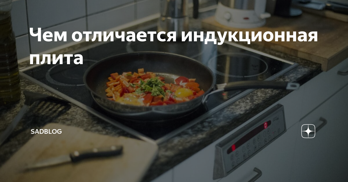Чем отличается индукционная плита | SadBlog | Дзен