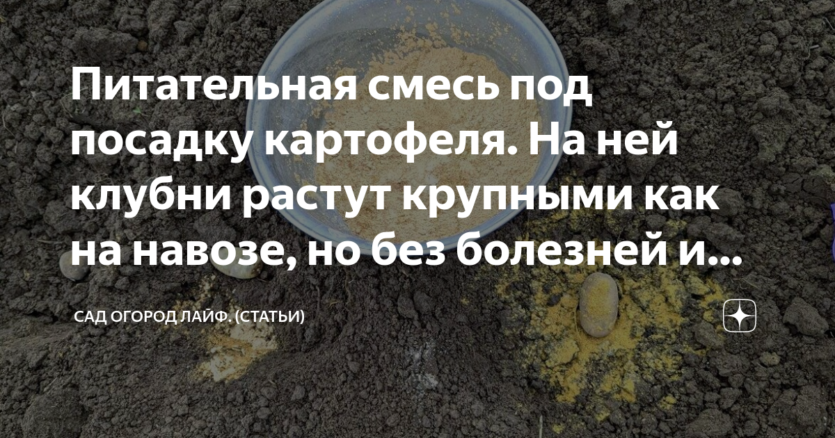 Питательная смесь под посадку картофеля. На ней клубни растут крупными ...