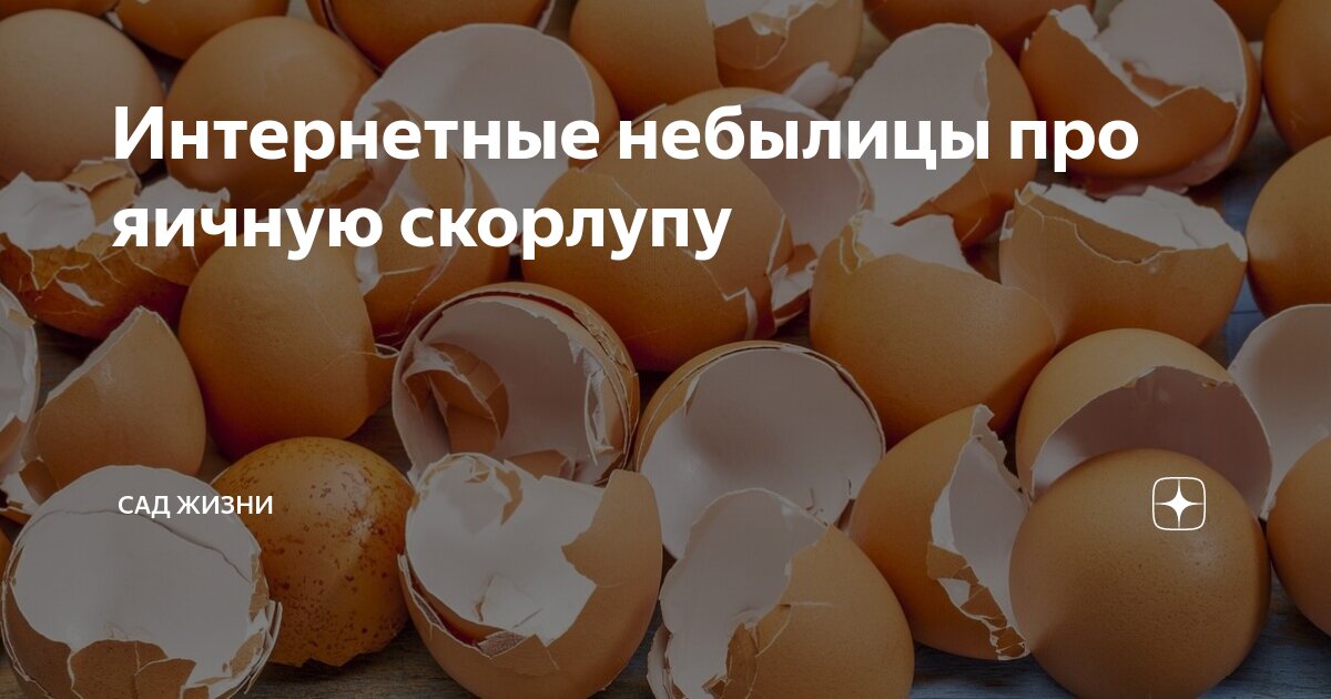Интернетные небылицы про яичную скорлупу Сад Жизни Дзен
