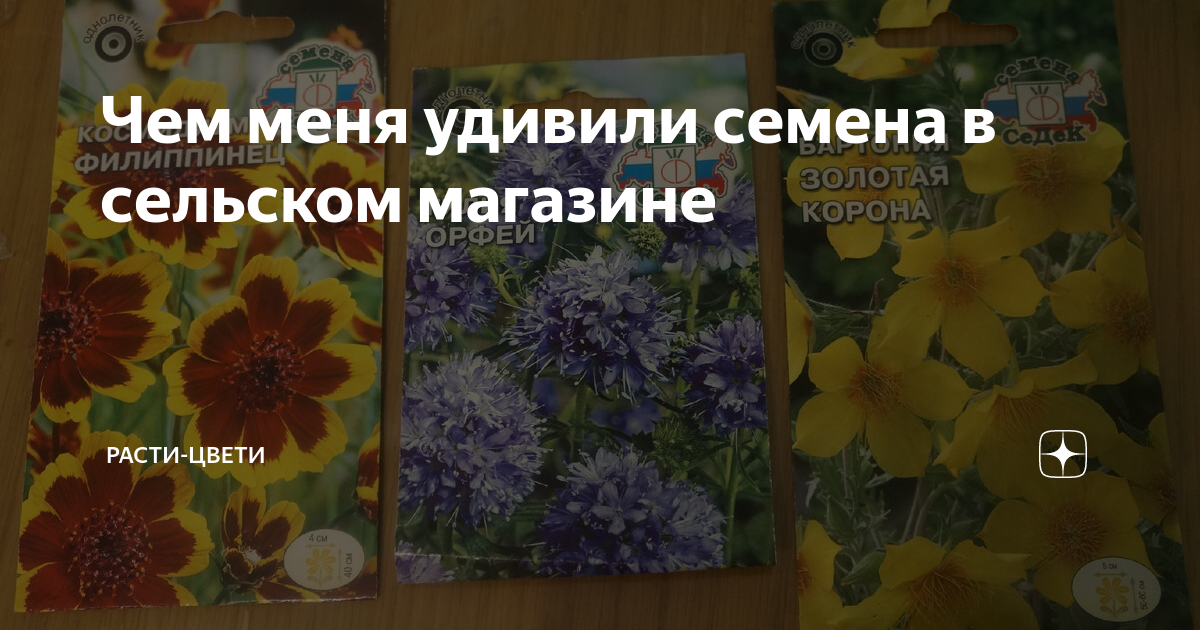 Чем меня удивили семена в сельском магазине Расти Цвети Дзен