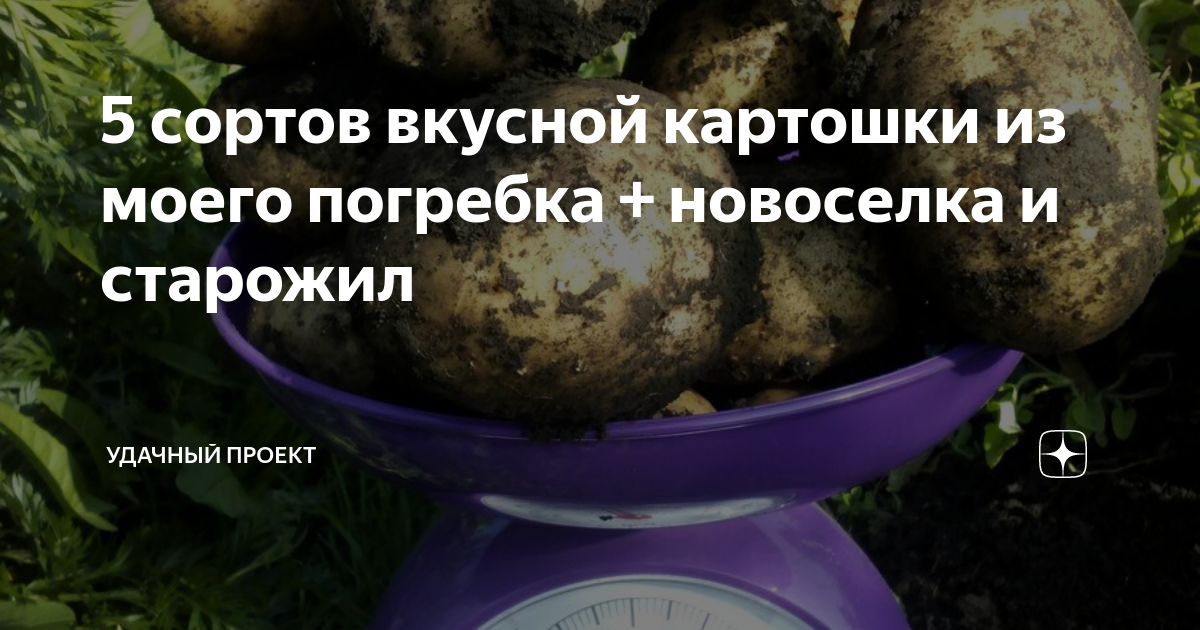 5 сортов вкусной картошки из моего погребка + новоселка и старожил ...