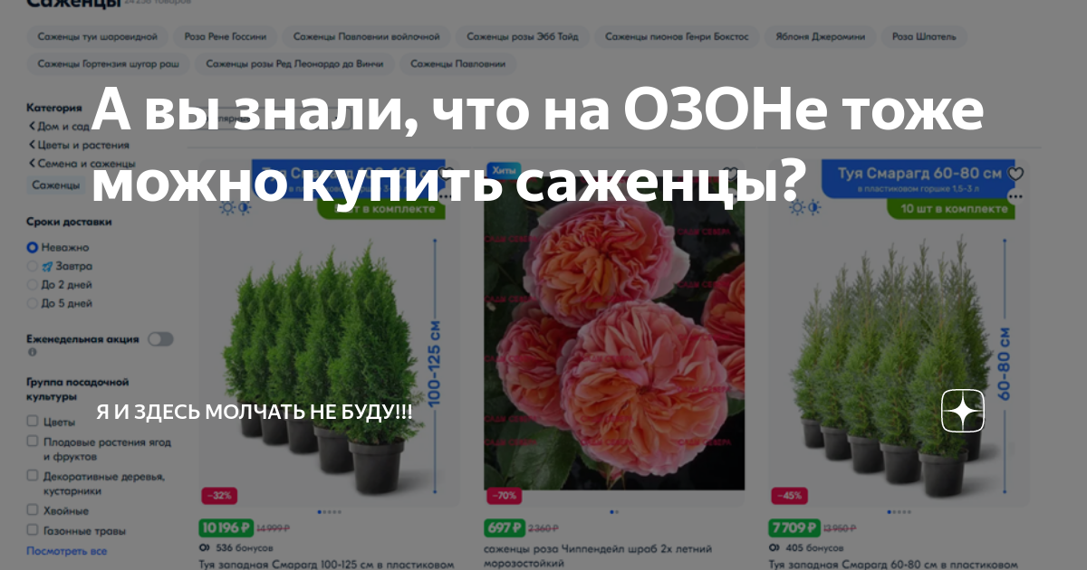 А вы знали, что на ОЗОНе тоже можно купить саженцы? | Я и здесь молчать ...
