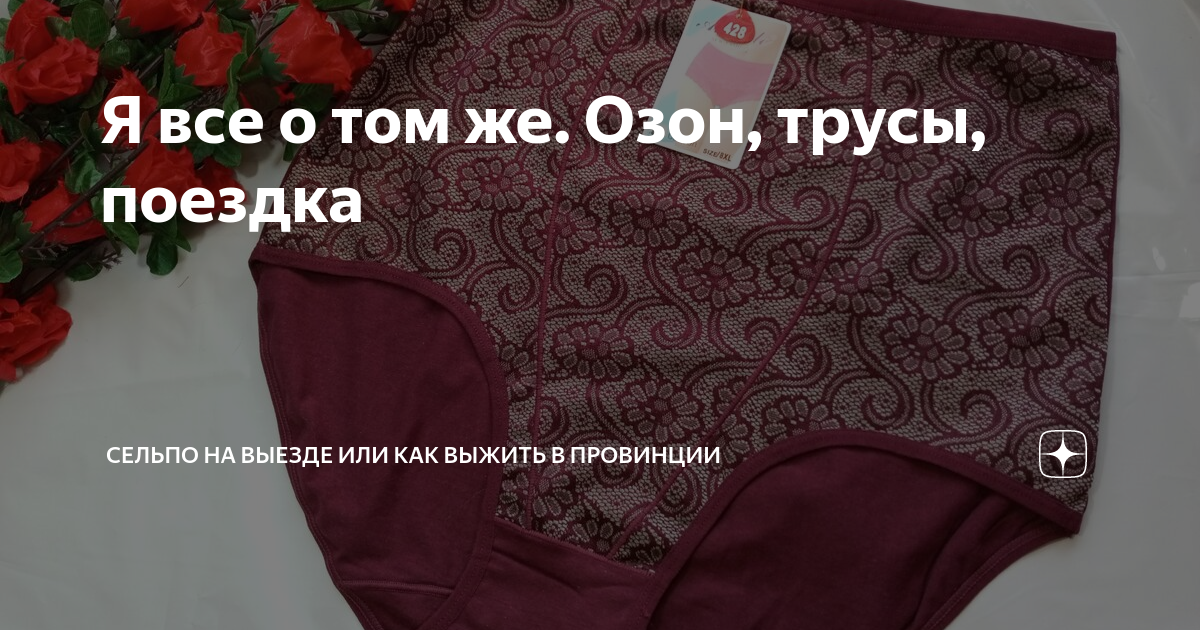 Я все о том же. Озон, трусы, поездка | Сельпо на выезде | Дзен