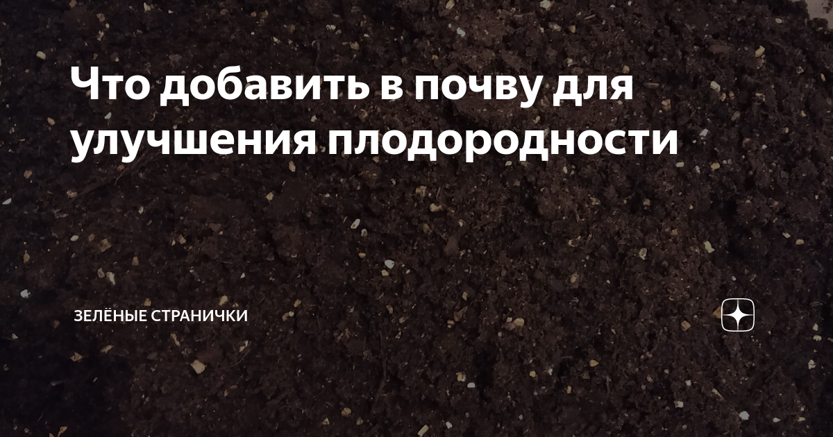 Что добавить в почву для улучшения плодородности | Зелёные странички | Дзен