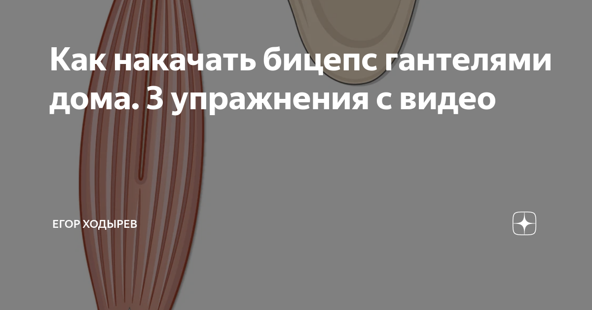 Как накачать бицепс гантелями дома 3 упражнения с видео
