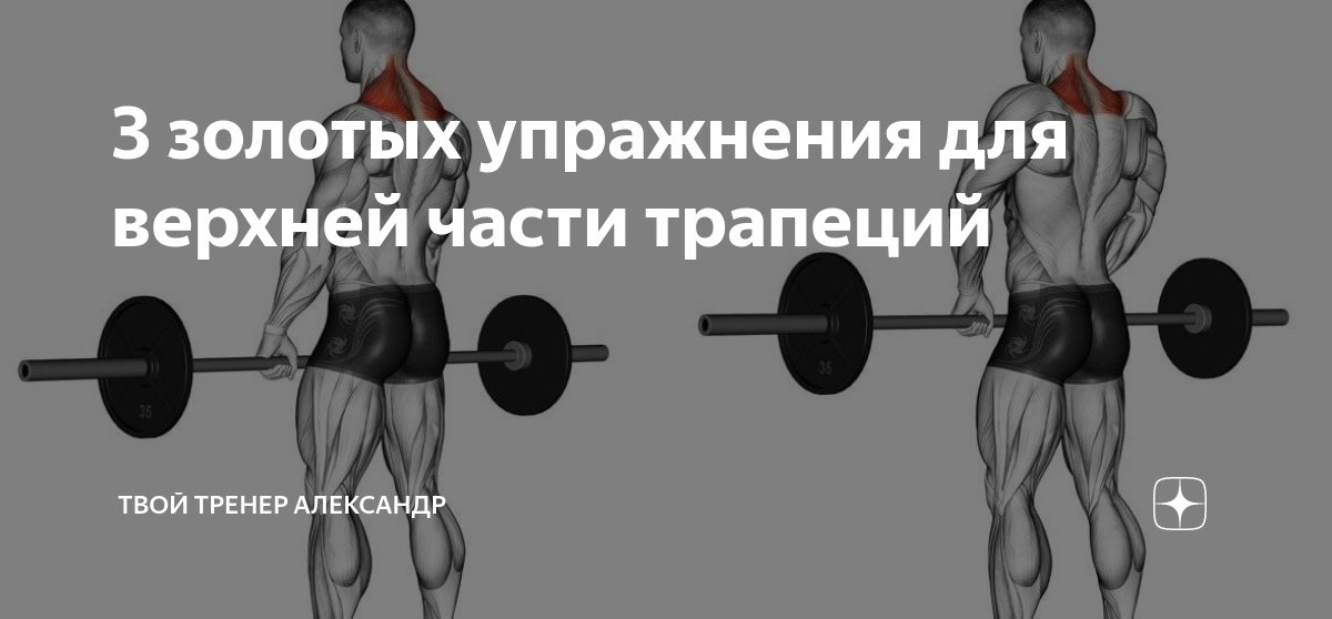 3 золотых упражнения для верхней части трапеций | Твой тренер Александр ...