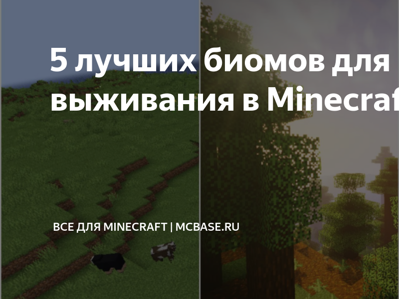 5 лучших биомов для выживания в Minecraft | Все для Minecraft | MCBase.ru | Дзен