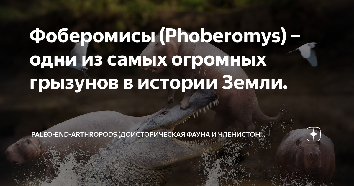 Фоберомисы (Phoberomys) – одни из самых огромных грызунов в истории ...