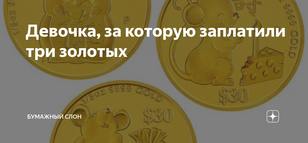 Девочка, за которую заплатили три золотых | Бумажный Слон | Дзен