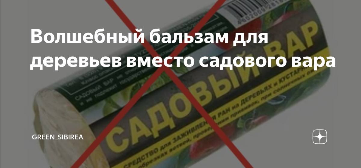 Волшебный бальзам для деревьев вместо садового вара | Green_Sibirea | Дзен