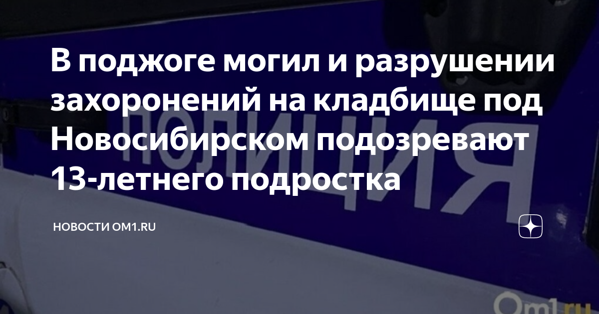 В поджоге могил и разрушении захоронений на кладбище под Новосибирском подозревают 13-летнего ...