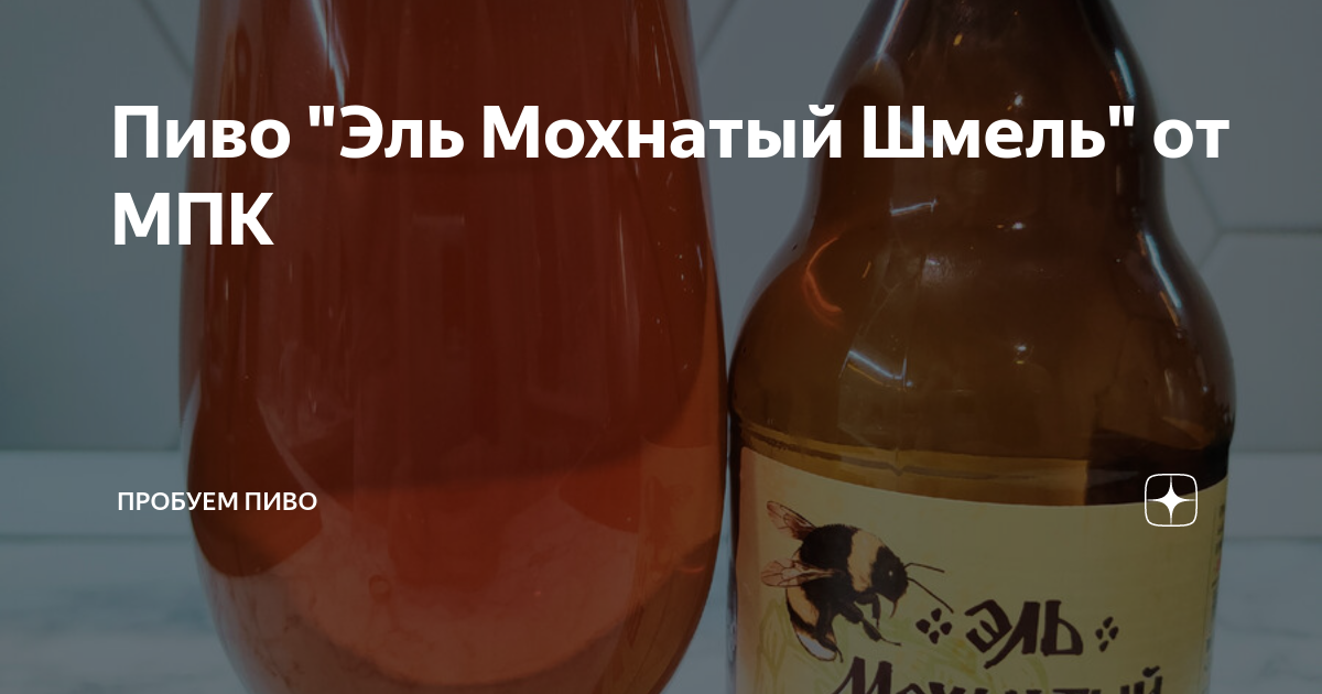 Пиво "Эль Мохнатый Шмель" от МПК | Пробуем пиво | Дзен