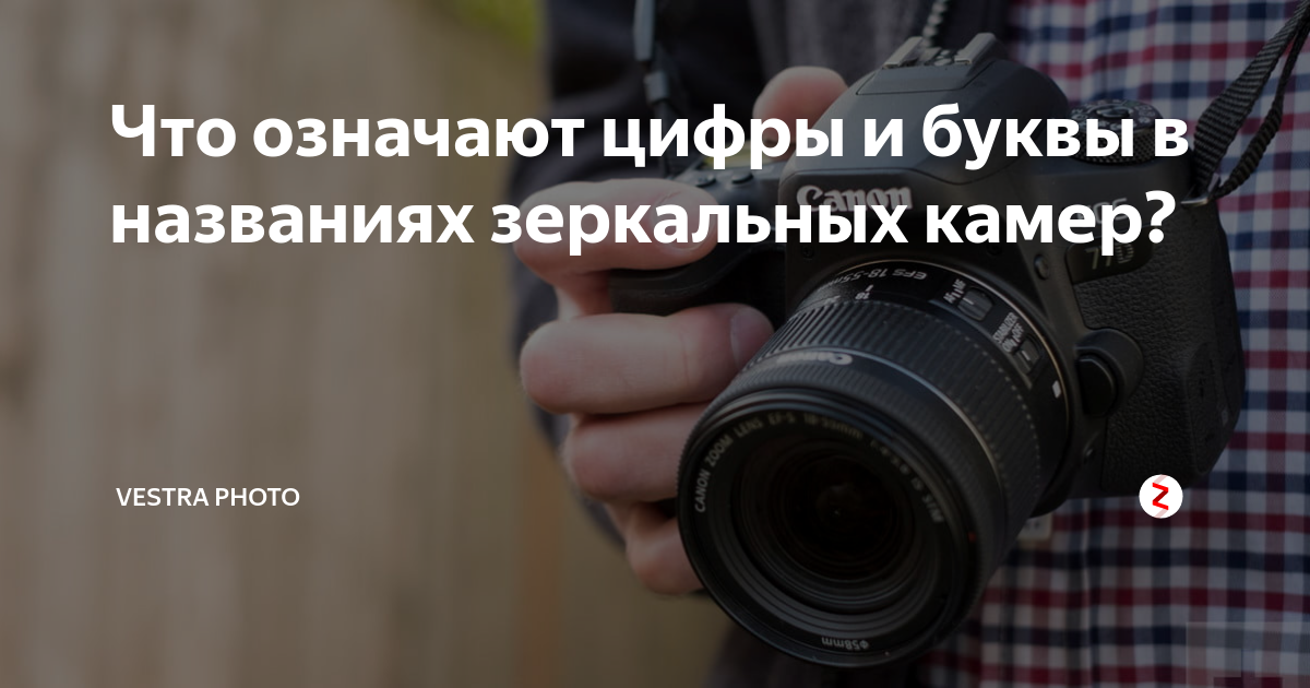 Что означают цифры и буквы в названиях зеркальных камер? | Vestra Photo ...