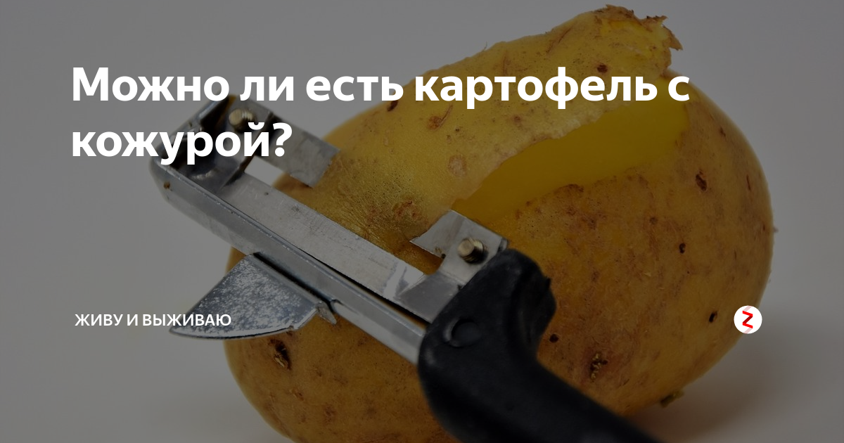 Можно ли есть картофель с кожурой? | Человек и Мир | Дзен