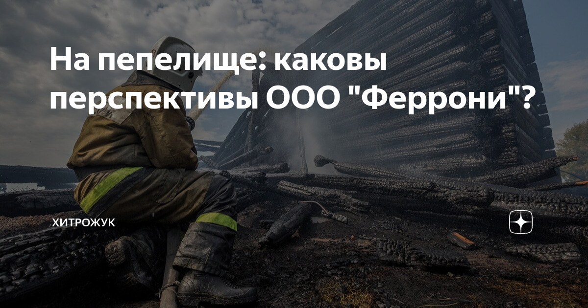 На пепелище каковы перспективы ООО Феррони ХитроЖук Дзен
