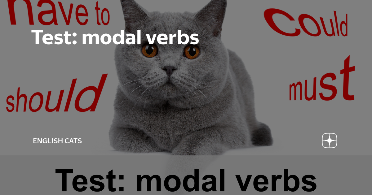 Test: modal verbs | English Cats | Дзен