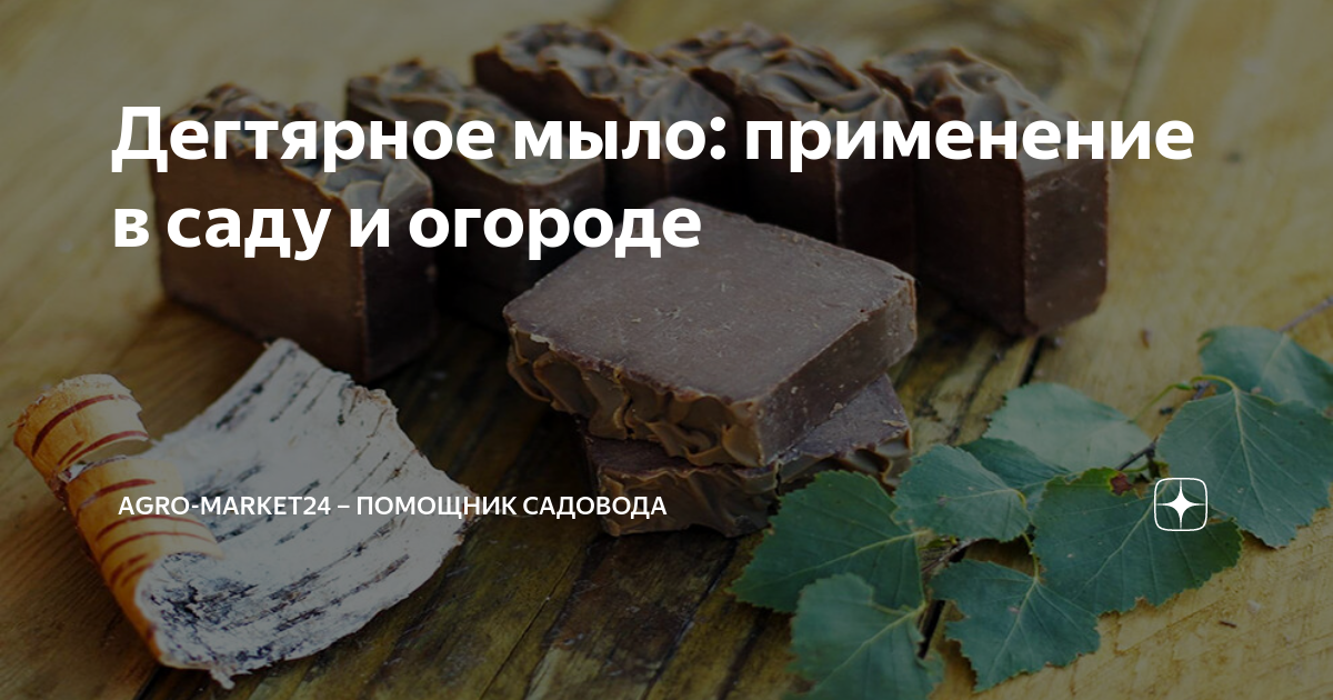 Дегтярное мыло: применение в саду и огороде | Аgro-Мarket24 – помощник ...