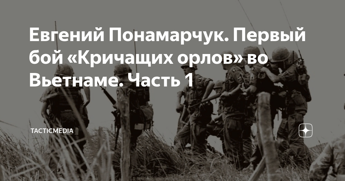 Евгений Понамарчук Первый бой «Кричащих орлов во Вьетнаме Часть 1