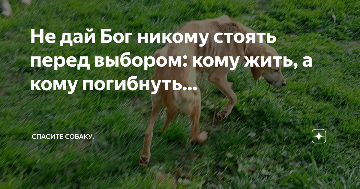 Не дай Бог никому стоять перед выбором: кому жить, а кому погибнуть ...