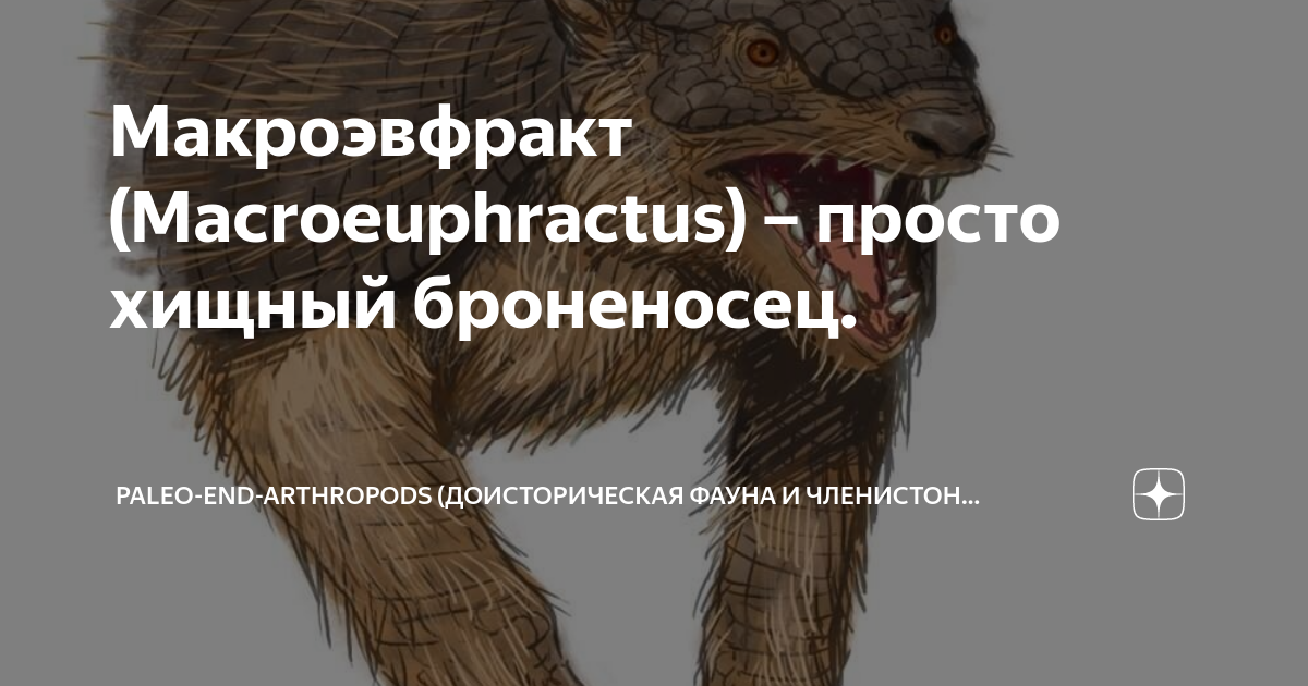 Макроэвфракт (Macroeuphractus) – просто хищный броненосец. | Paleo-end-arthropods ...