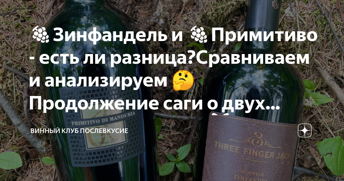🍇Зинфандель и 🍇Примитиво - есть ли разница?Сравниваем и анализируем 🤔 ...
