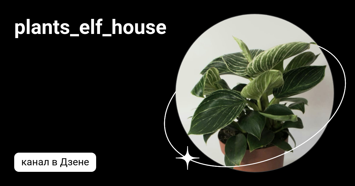 plants_elf_house | Дзен