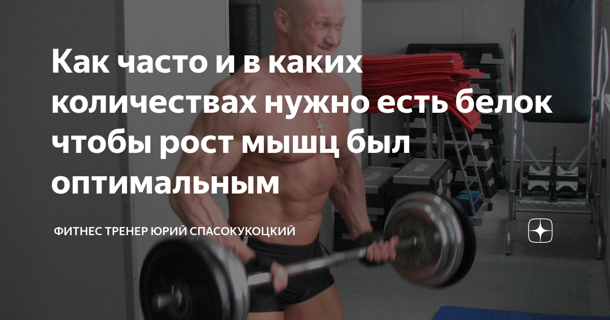 Как часто и в каких количествах нужно есть белок чтобы рост мышц был ...