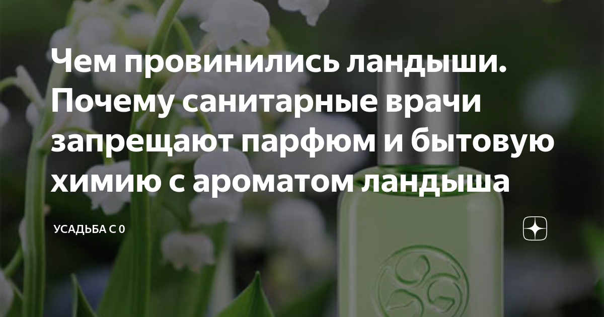 Чем провинились ландыши. Почему санитарные врачи запрещают парфюм и ...