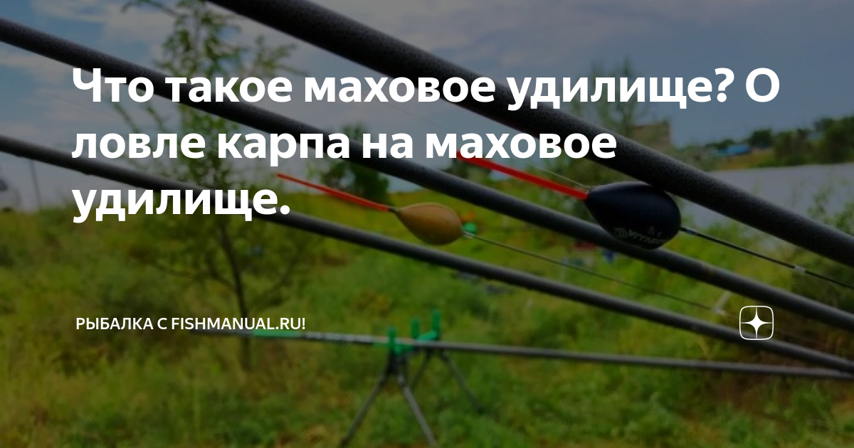 Что такое маховое удилище? О ловле карпа на маховое удилище. | Рыбалка ...