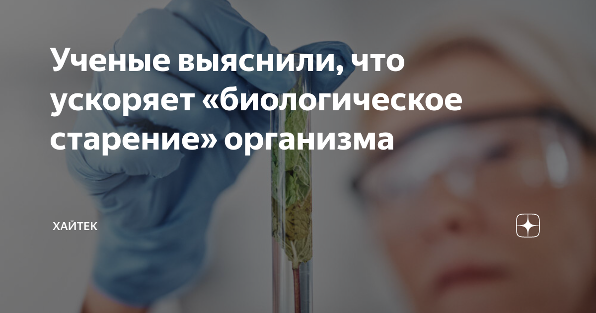 Ученые выяснили что ускоряет «биологическое старение организма Хайтек Дзен