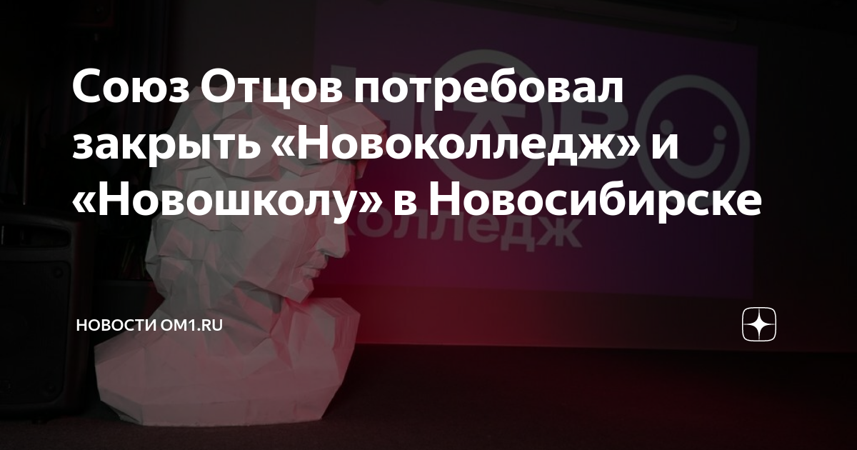 Союз Отцов потребовал закрыть «Новоколледж» и «Новошколу» в Новосибирске | Новости Om1 Омск | Дзен