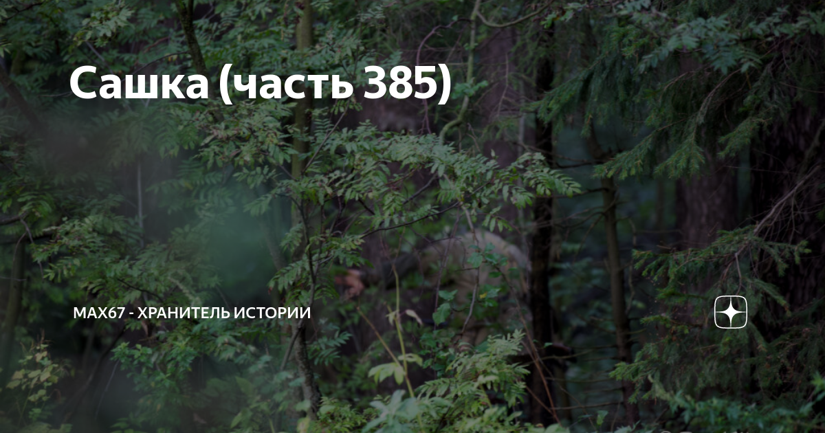 Сашка (часть 385) | MAX67 - Хранитель Истории | Дзен