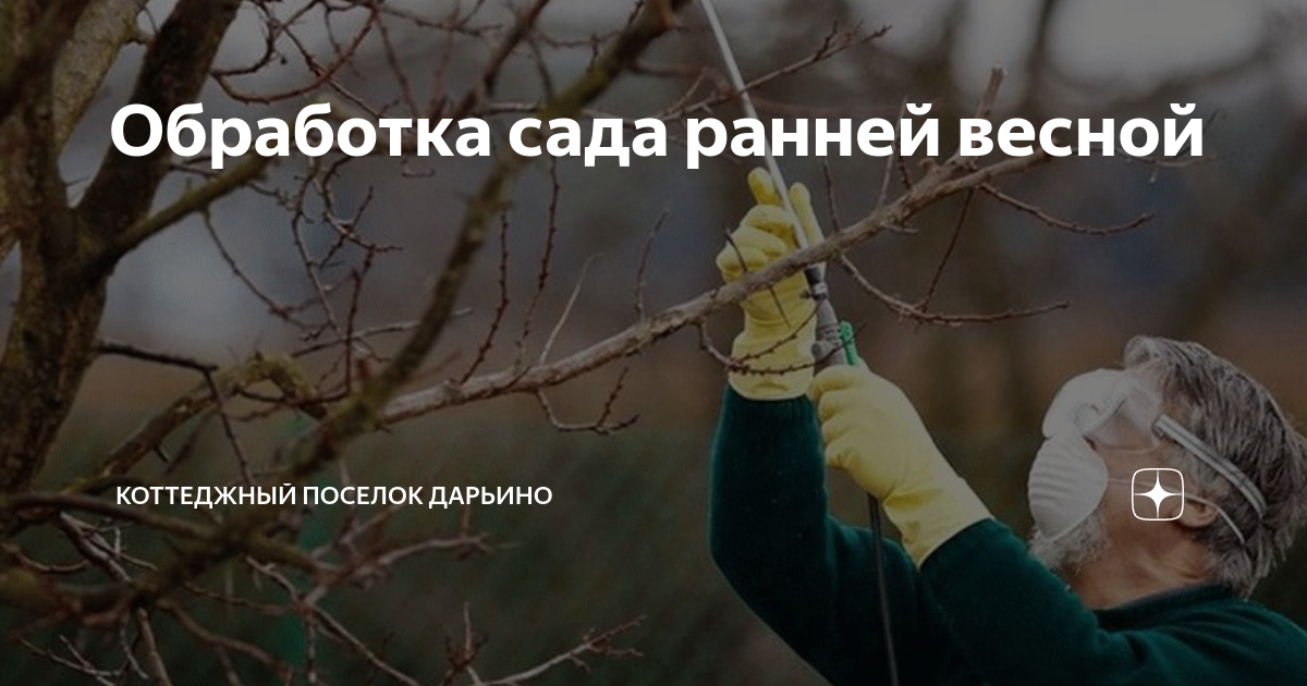 Обработка сада ранней весной | Коттеджный поселок Дарьино | Дзен