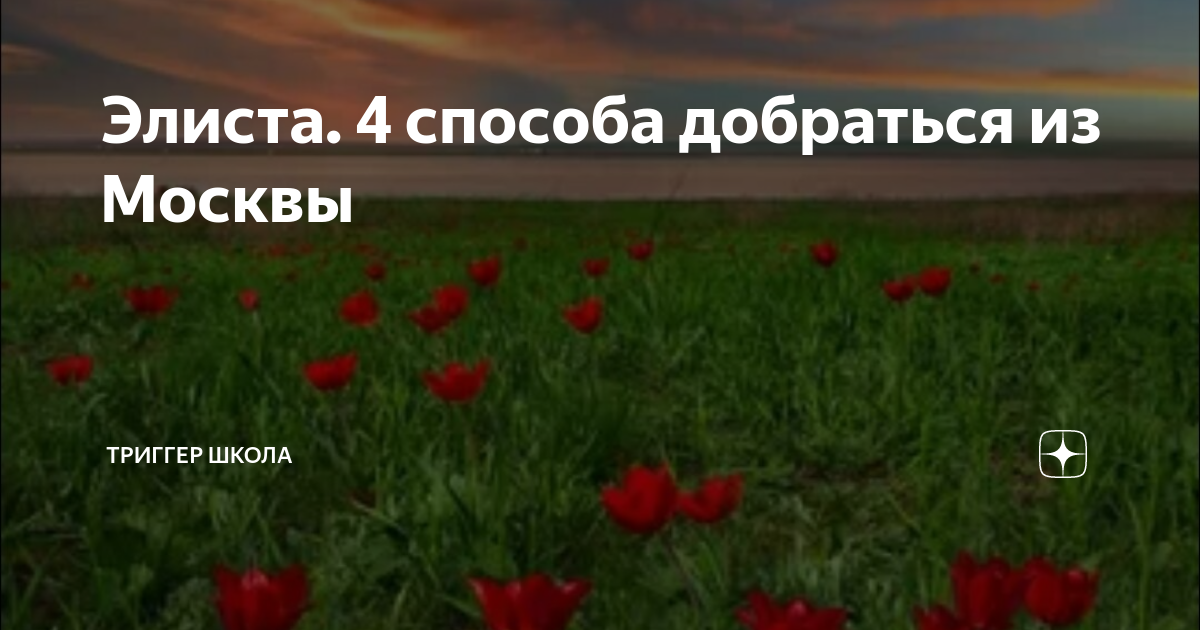 Элиста. 4 способа добраться из Москвы | Триггер Школа | Дзен