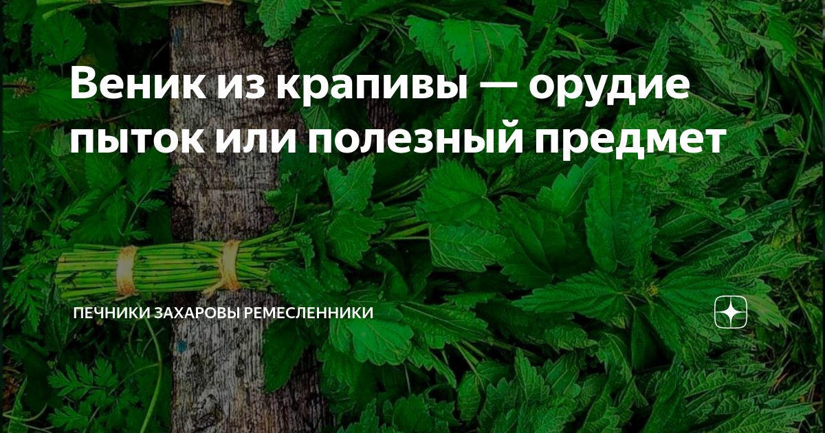 Веник из крапивы — орудие пыток или полезный предмет | Печники Захаровы ...