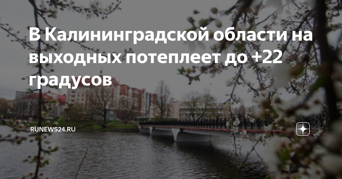 В Калининградской области на выходных потеплеет до +22 градусов | RuNews24.ru | Дзен