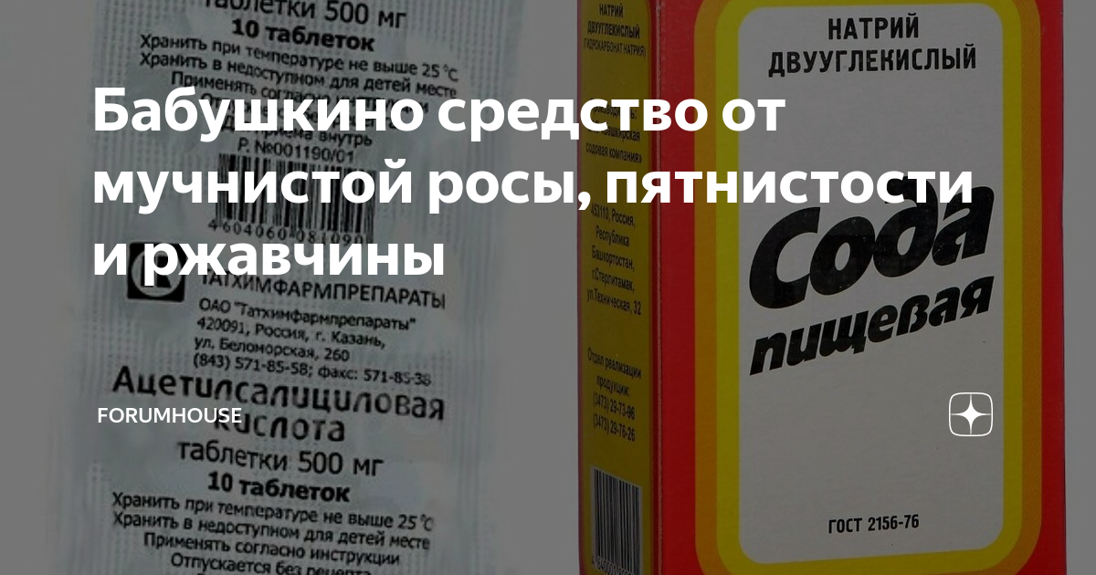 Бабушкино средство от мучнистой росы, пятнистости и ржавчины ...