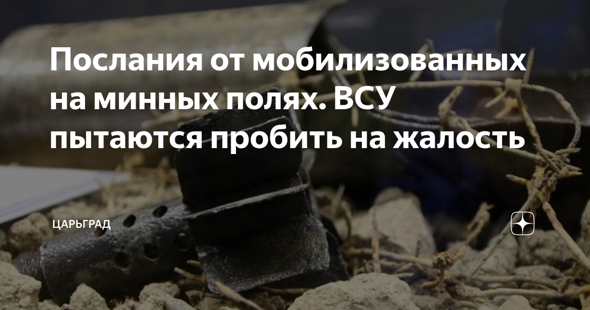 Послания от мобилизованных на минных полях ВСУ пытаются пробить на
