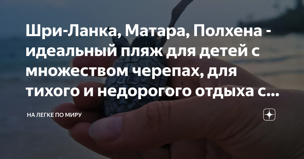 Шри Ланка Матара Полхена идеальный пляж для детей с множеством черепах для тихого и