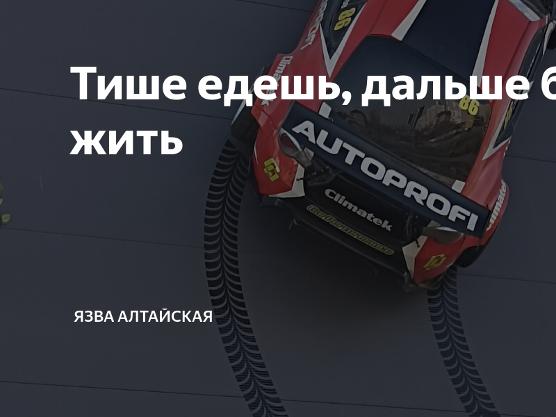 Тише едешь, дальше будешь жить | Язва Алтайская. | Дзен