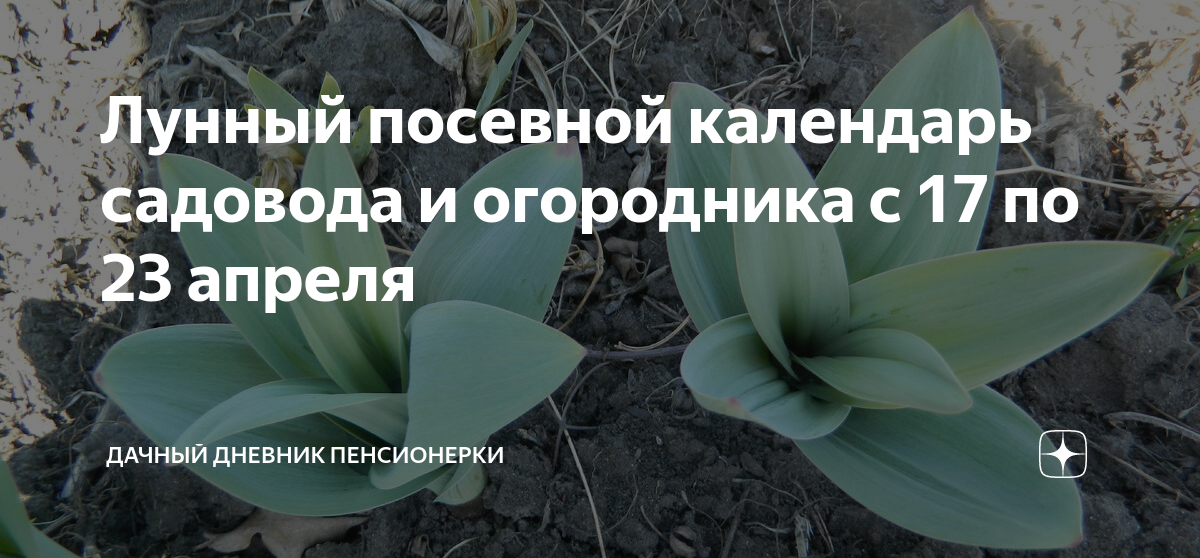 Лунный посевной календарь садовода и огородника с 17 по 23 апреля