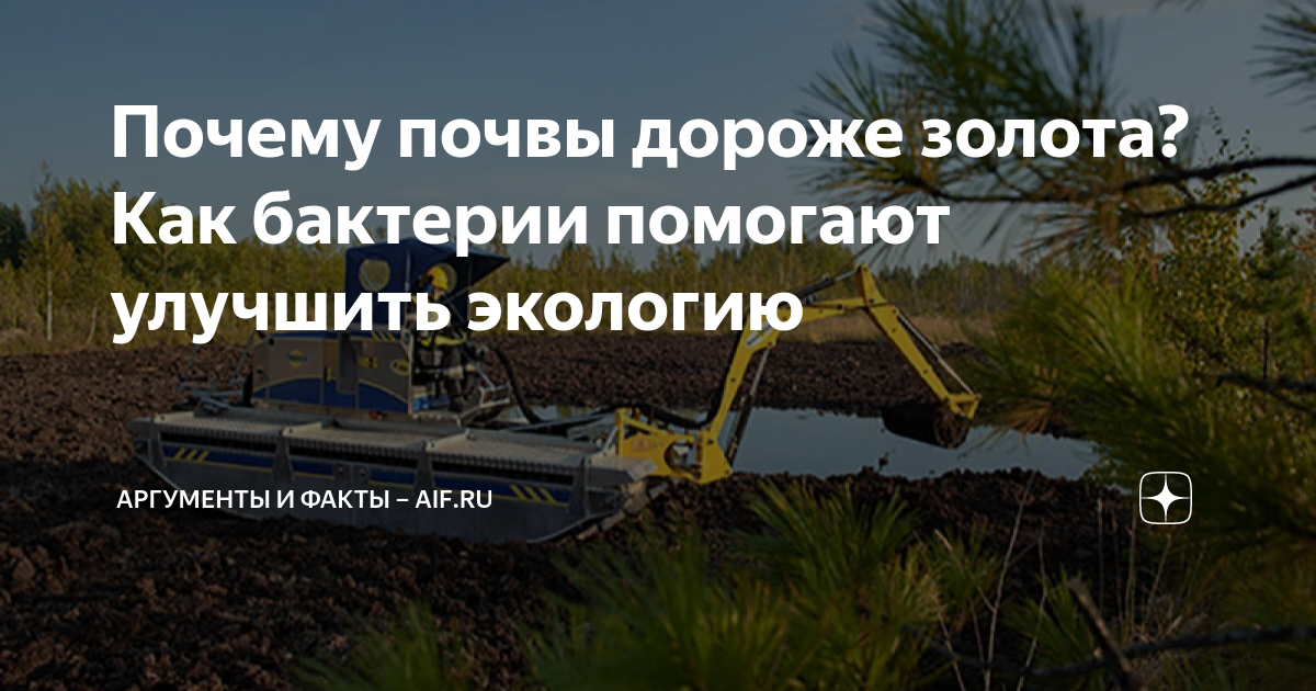 Почему почвы дороже золота? Как бактерии помогают улучшить экологию | Аргументы и факты – aif.ru ...