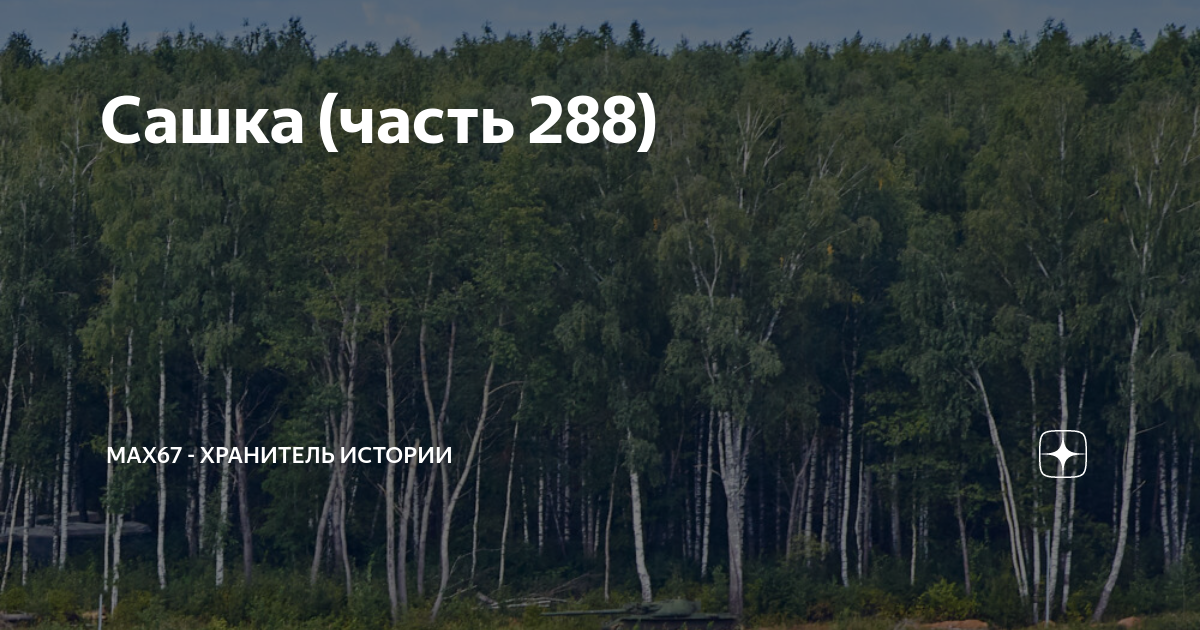 Сашка (часть 288) | MAX67 - Хранитель Истории | Дзен
