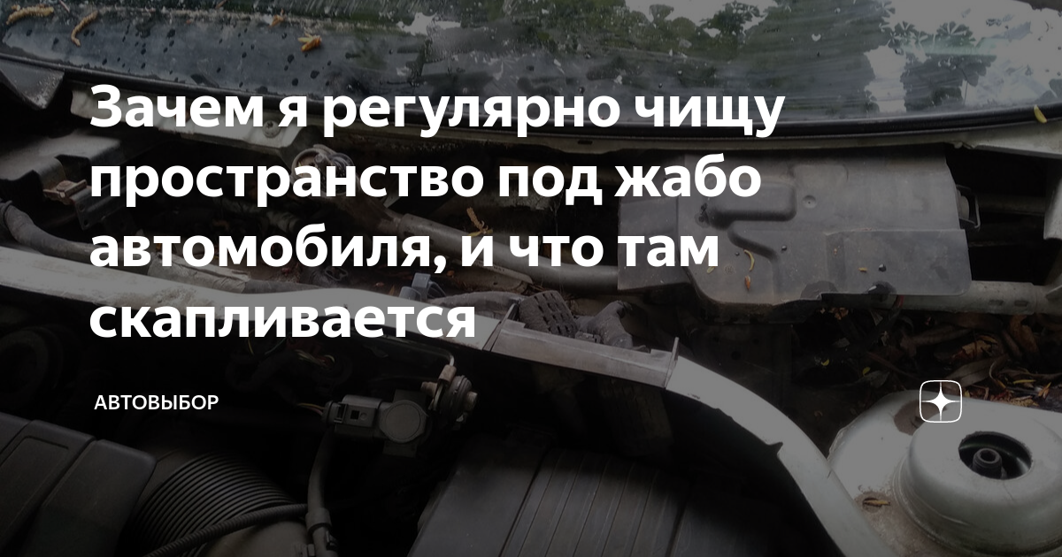 Зачем я регулярно чищу пространство под жабо автомобиля, и что там ...