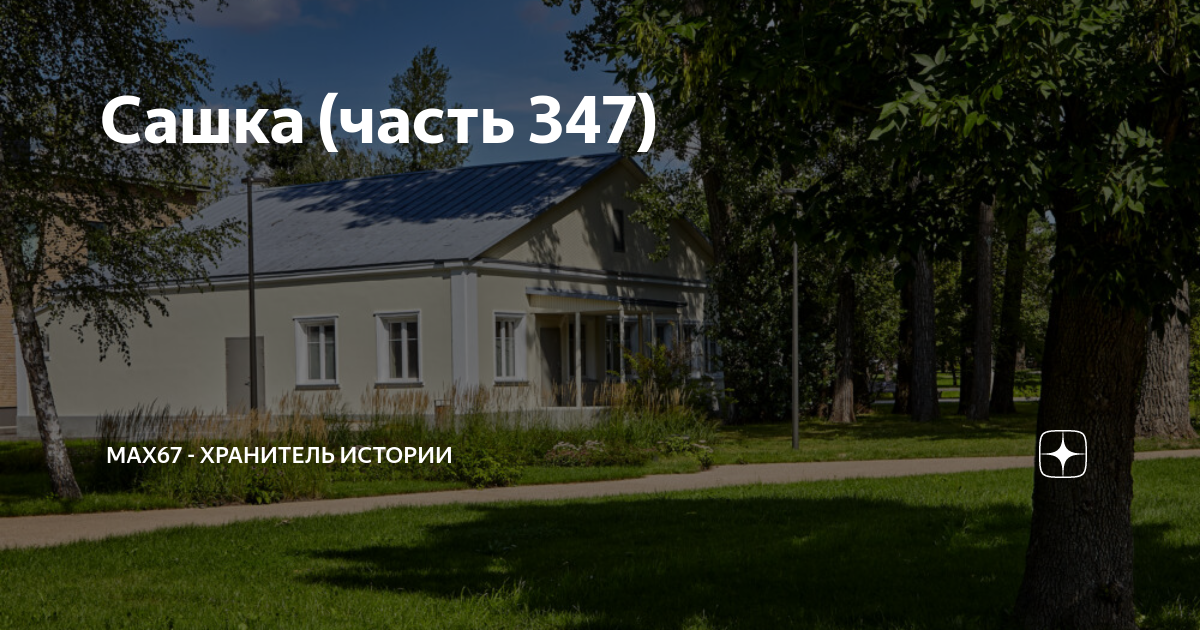 Сашка (часть 347) | MAX67 - Хранитель Истории | Дзен