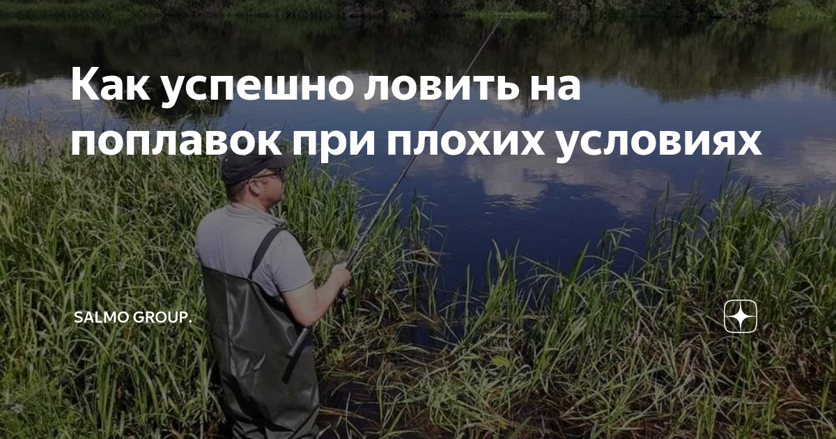 Как успешно ловить на поплавок при плохих условиях | Salmo Group. | Дзен