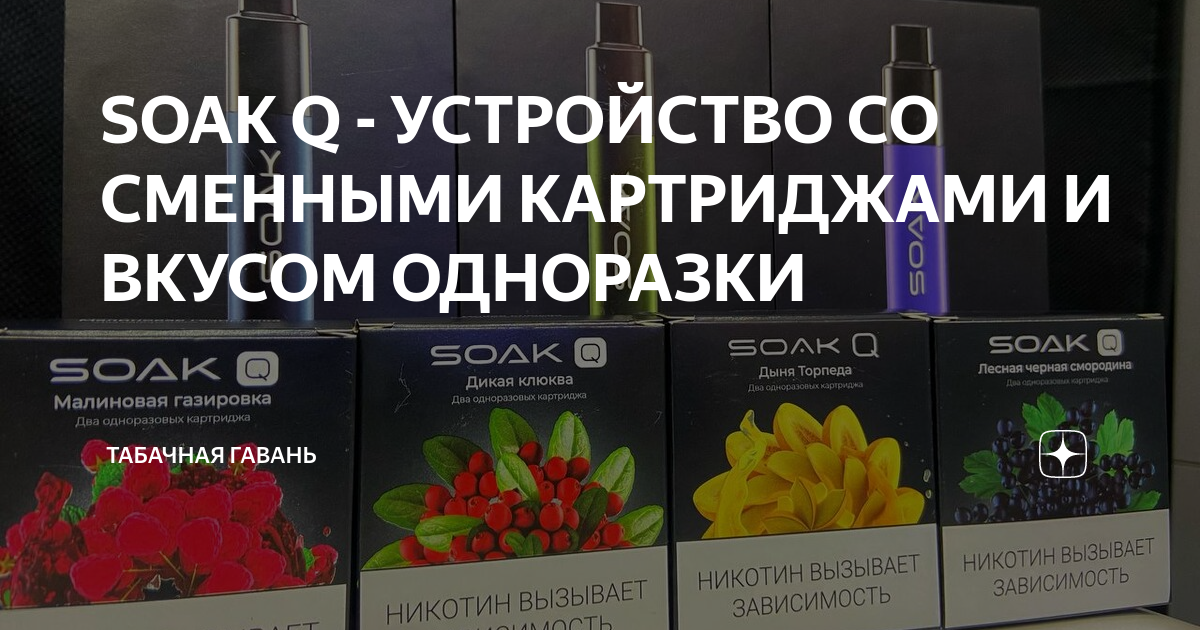 SOAK Q - УСТРОЙСТВО СО СМЕННЫМИ КАРТРИДЖАМИ И ВКУСОМ ОДНОРАЗКИ ...